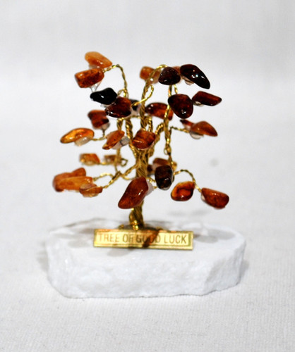 Amber Tree Of Good Luck | Wonders Of Nature