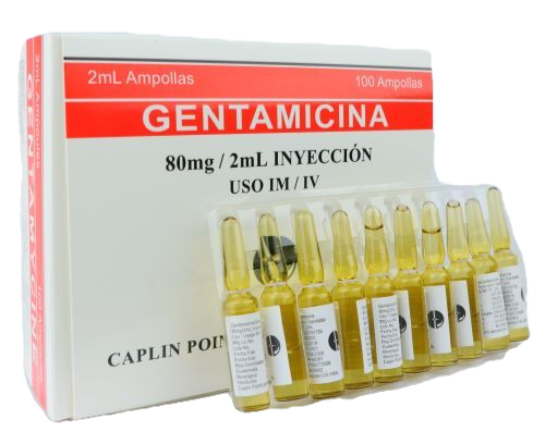 GENTAMICINA SULFATO Ampolla | Pharmainsa