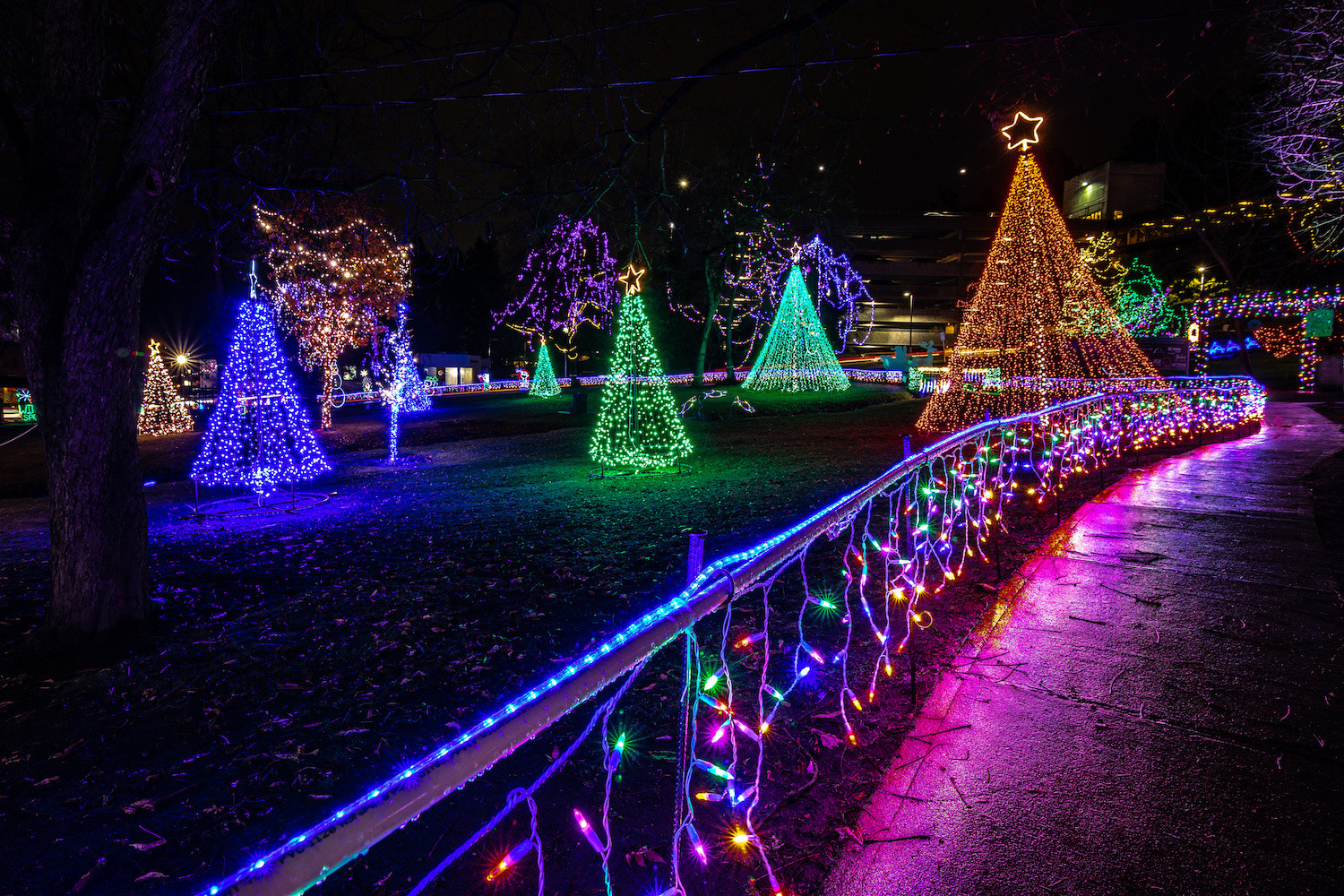 Spokane Lights Up the Season – Winter Magic, Events & Holiday Cheer 2025