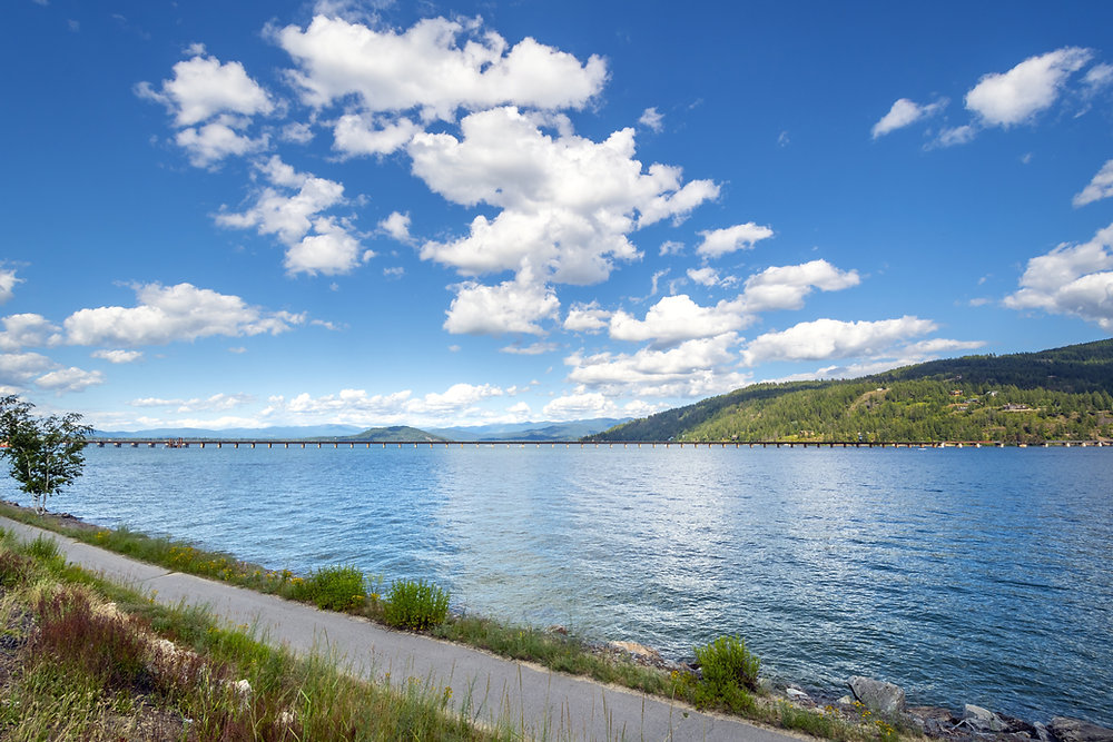 Scenic Swim: Long Bridge Swim back again