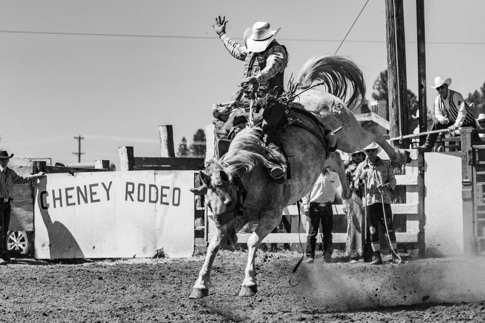 Cheney Rodeo