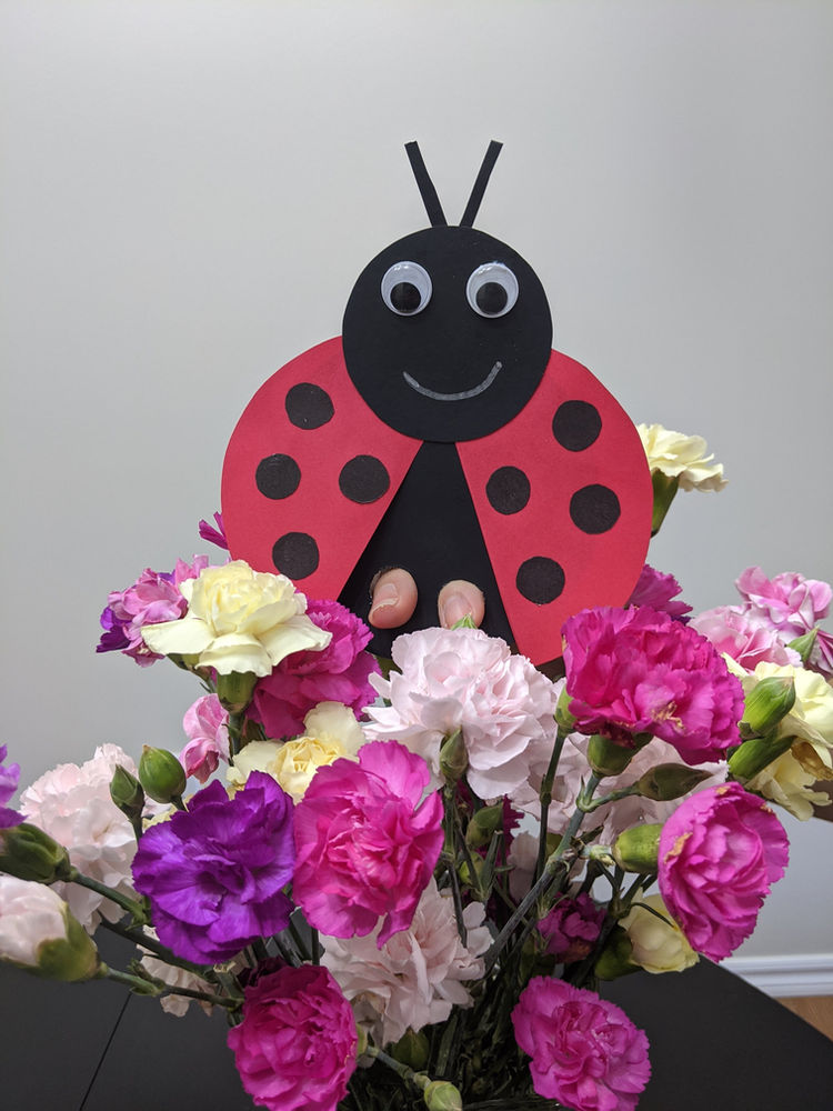 Ladybug Finger Puppet
