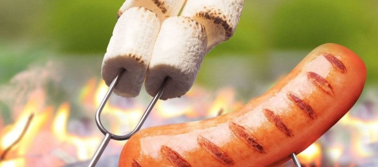Roasting Hot Dogs and Marshmallows