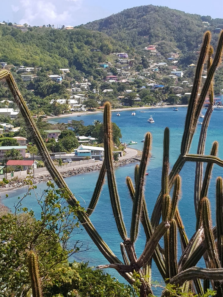 January 2019 - Windward Islands Caribbean