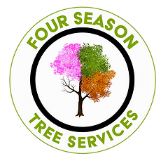 Tree Services | Four Seasons Tree Services | New Jersey