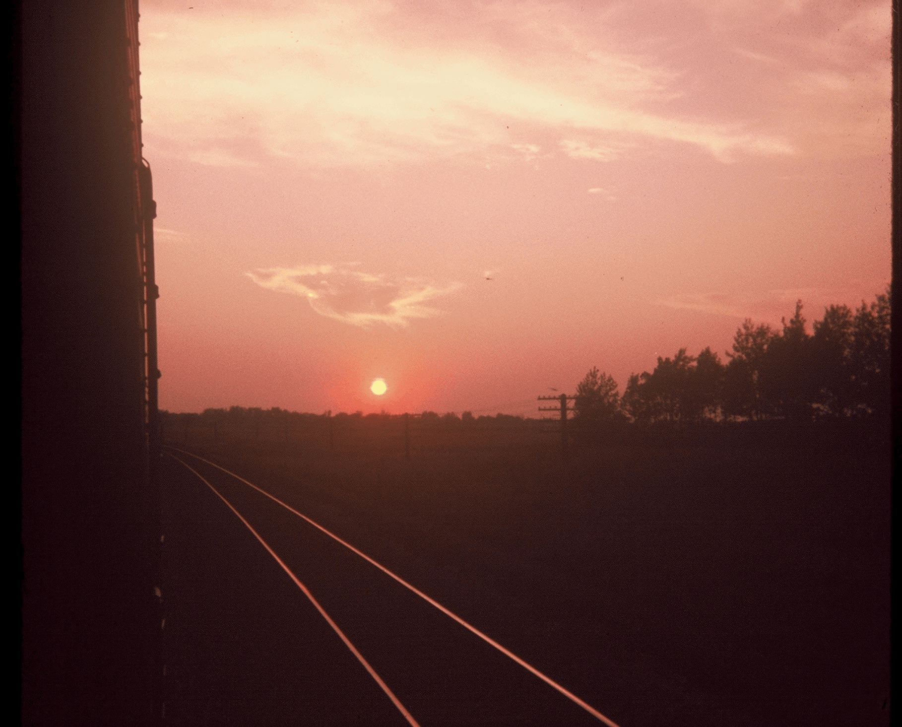 About David | David Ripley