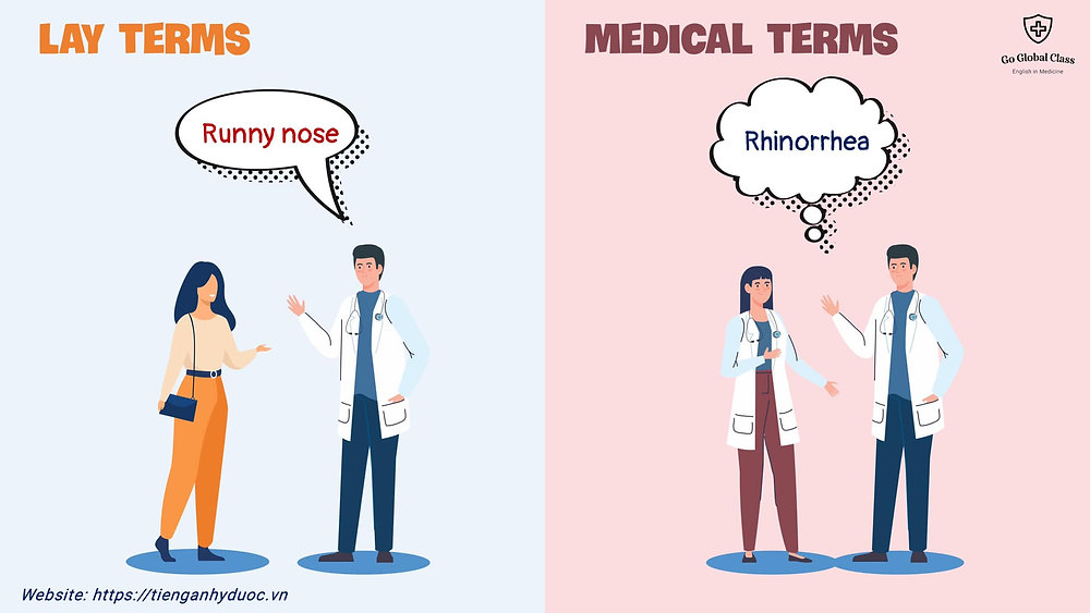 Medical terms and lay terms | Thuật ngữ Y khoa và văn nói