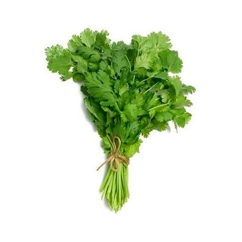 Coriander - Bunch | Miller's Produce