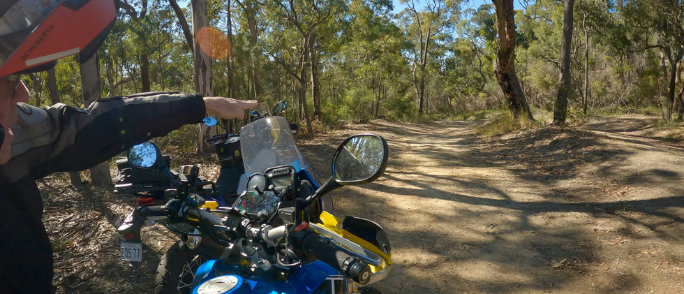 Wheelbarrow Ridge and Leeks Creek Ride in Australia