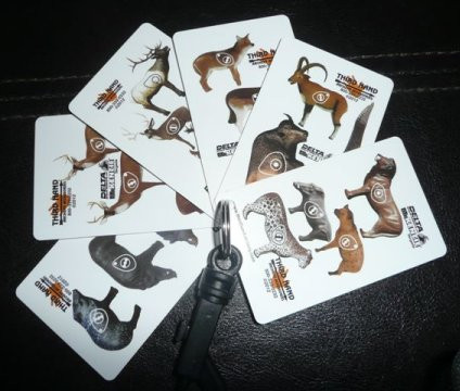 TARGET MCKENZIE MINI CARDS | no1archeryandsports