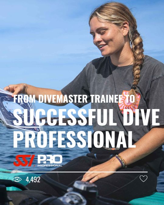 Divemaster SSI vs PADI?