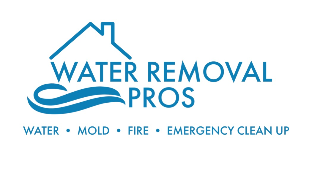 Flood & Water Damage Services | Water Removal Pros | Louisiana