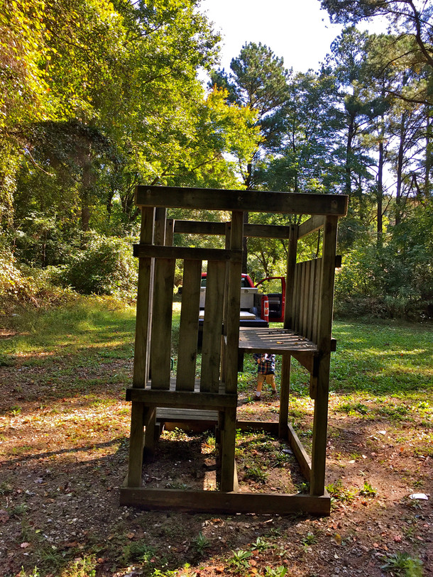 Palatial Poultry Palace & Rogue Roosters – wildwoodhomestead