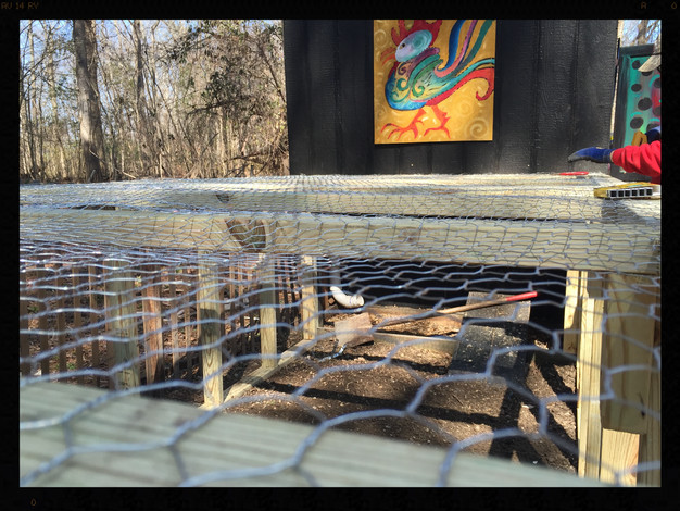 Chicken Run Fun! – wildwoodhomestead