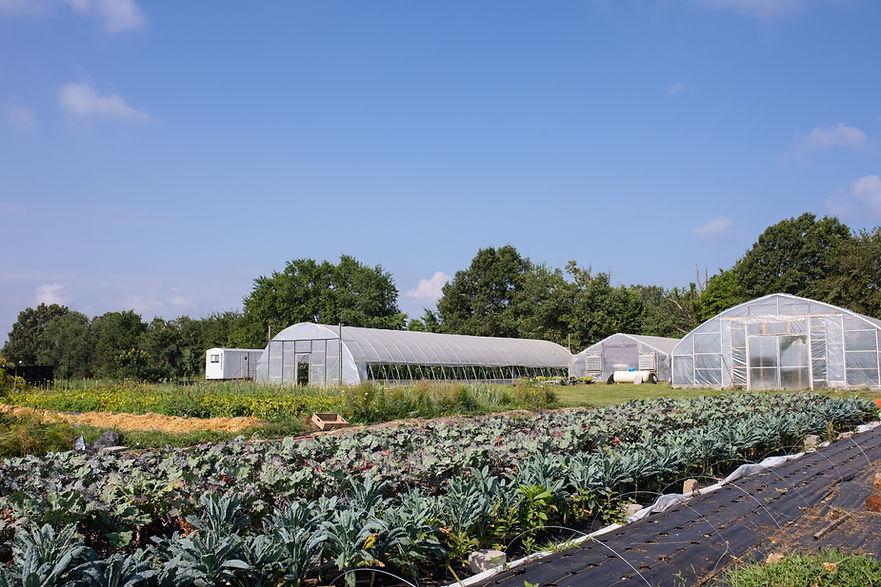 Get Involved | Cobblestone Farms