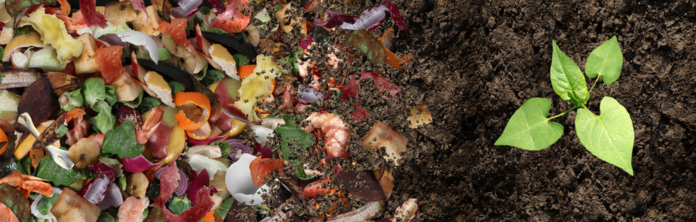 BASIC GUIDE TO HOME COMPOSTING
