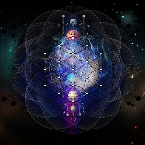 Survival Protection | Digital Single | Sound Energy Alchemy