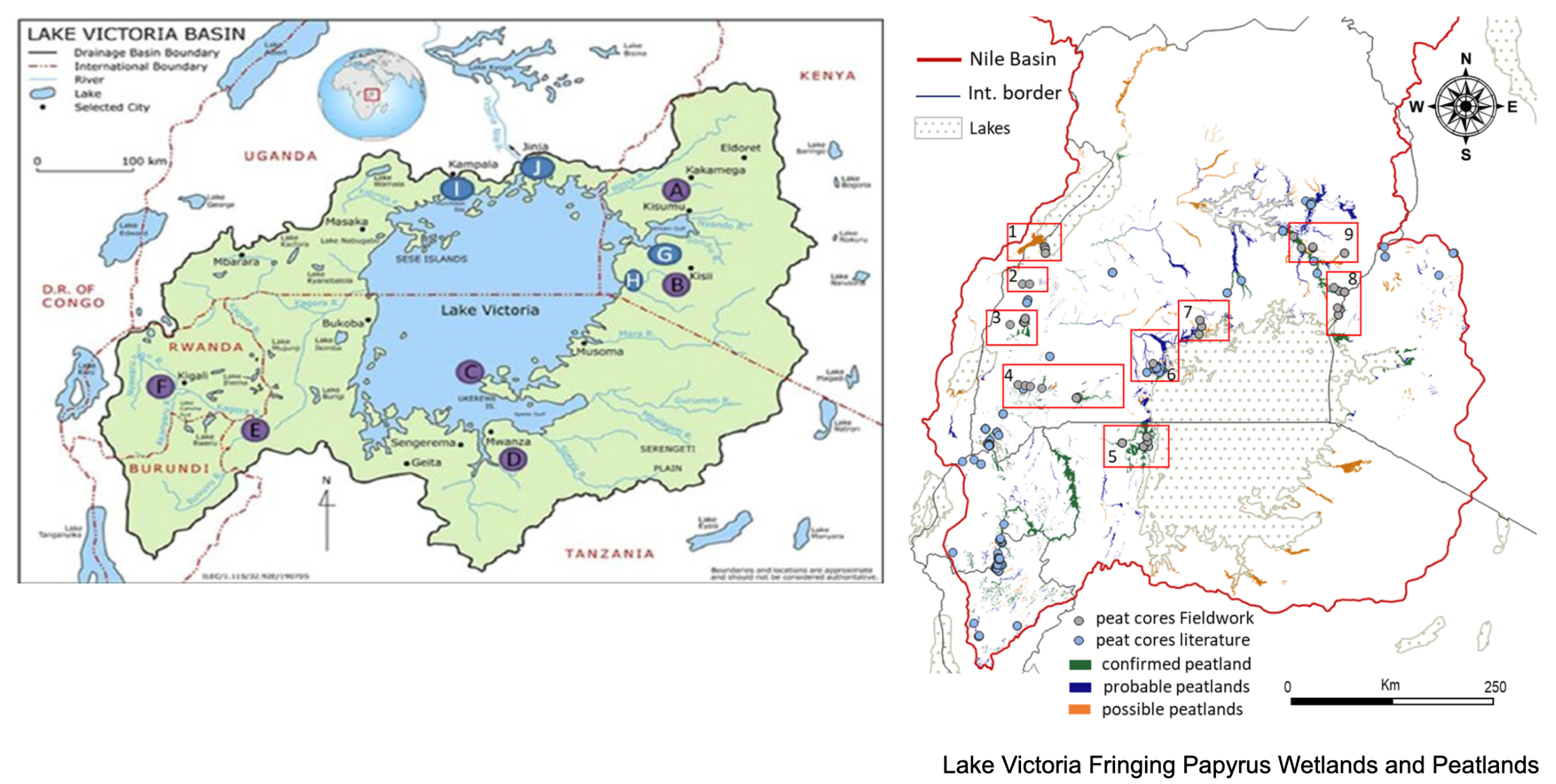 Swamp Cosmologies: #2 Papyrus Peatlands of Lake Victoria