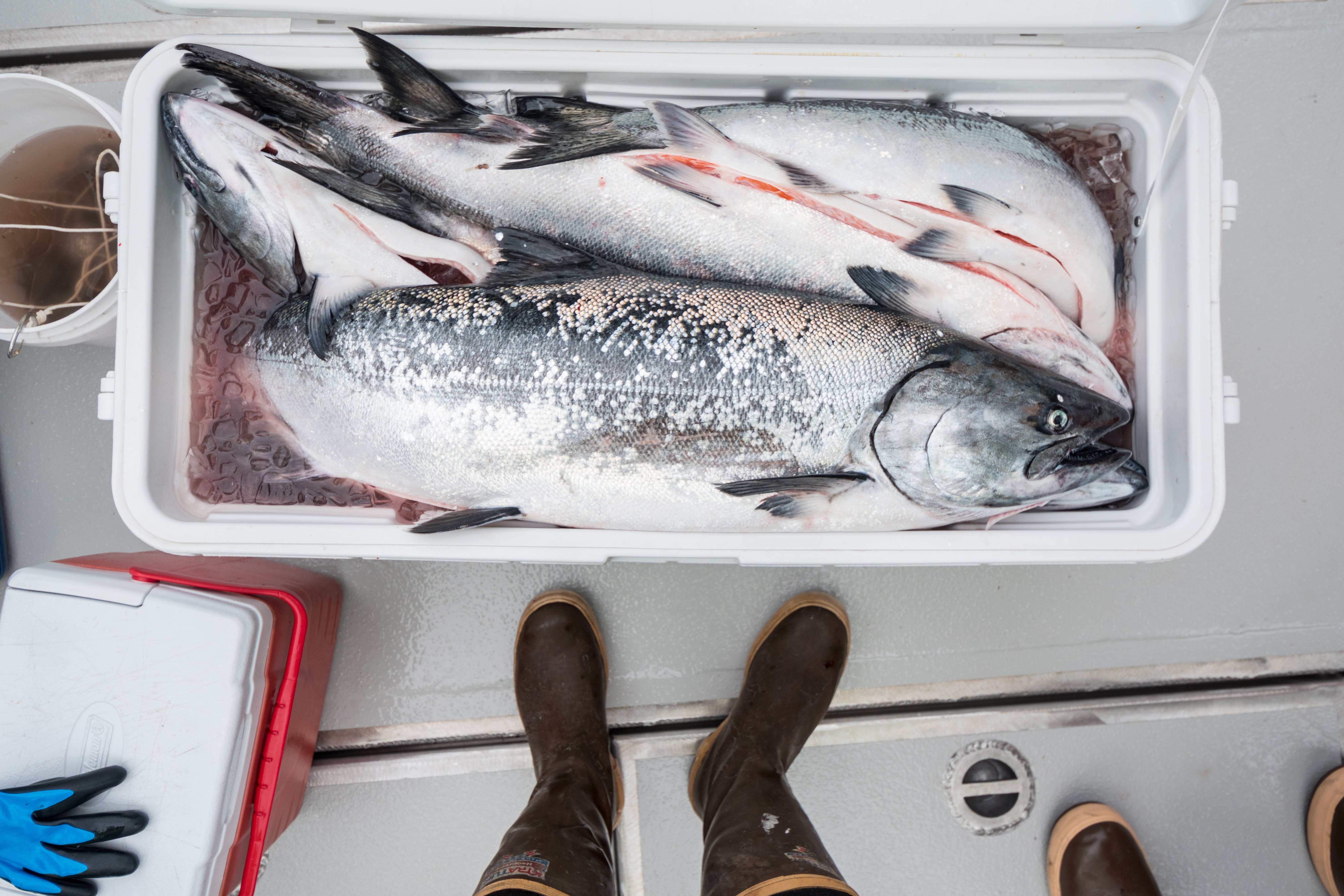 Sitka, Alaska Black Cod Fishing | Cascade Creek Inn & Charters