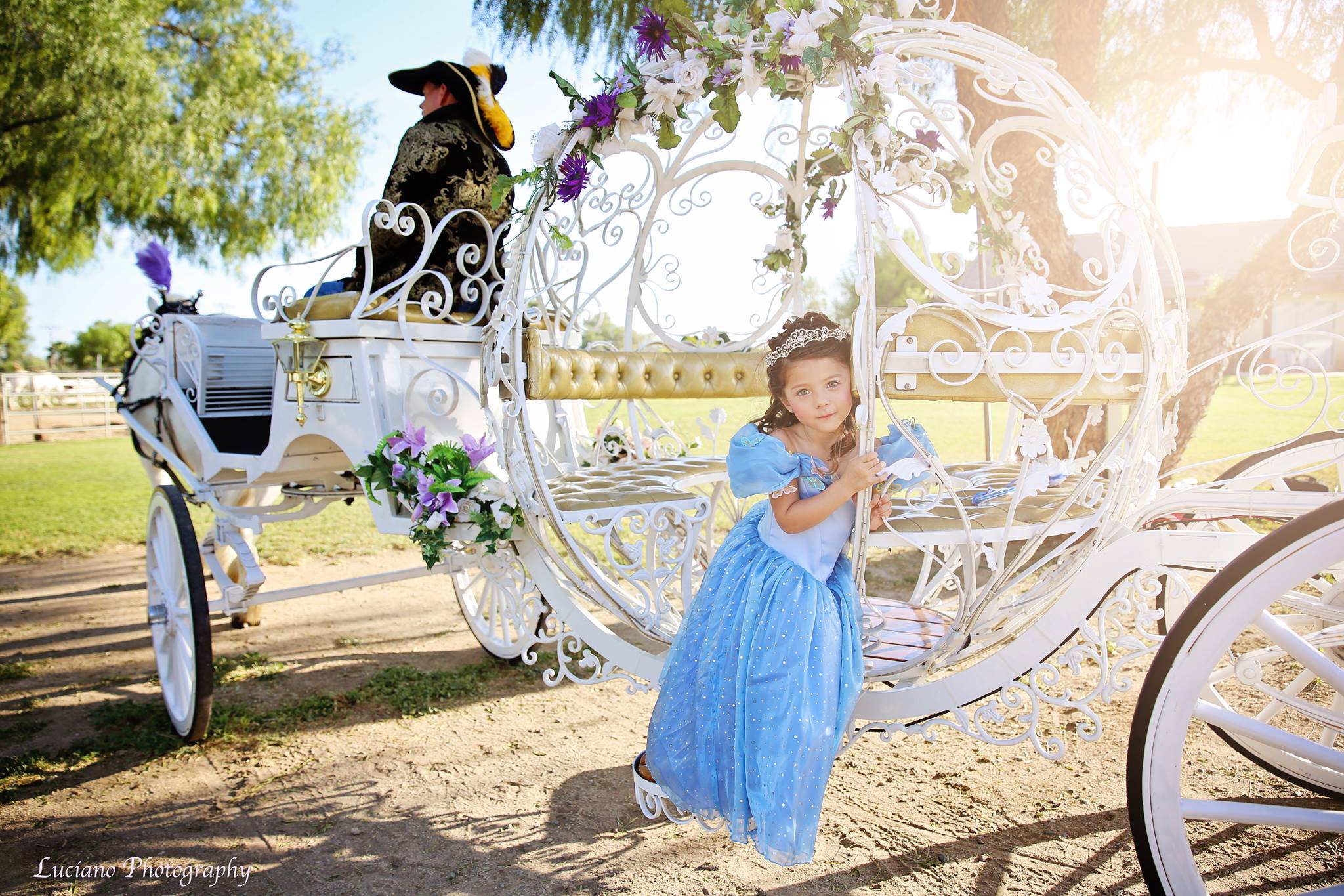 Horse-Drawn Carriage Rentals For Birthdays CA | Cindy Cinderella Carriages