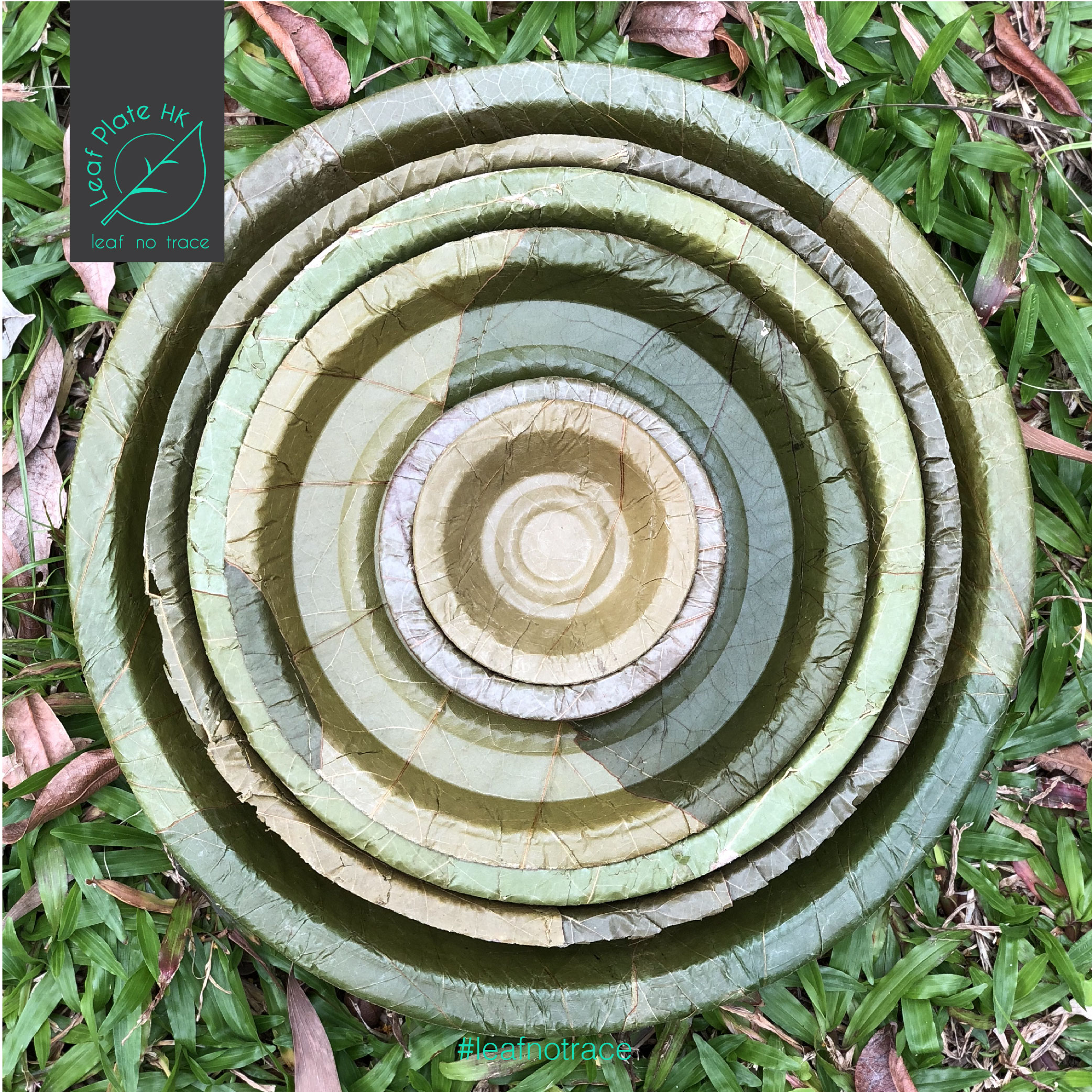 Leaf plate Hong Kong