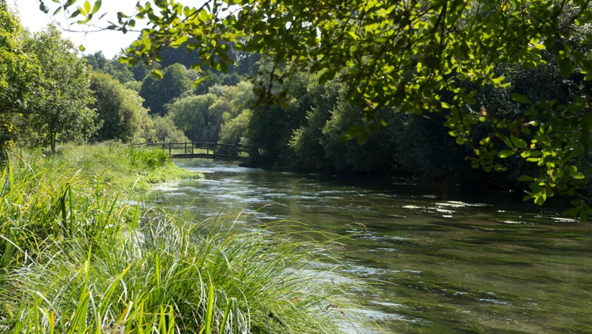 Home | Zero Carbon Guildford | Climate Change