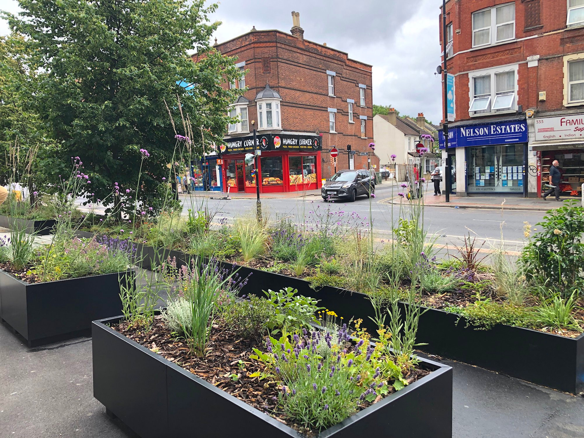 SBN: Nature Based Solutions in Towns | ZeroCarbonGuildford