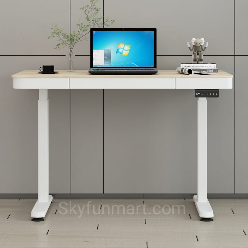 Working Desk | Skyfunmart