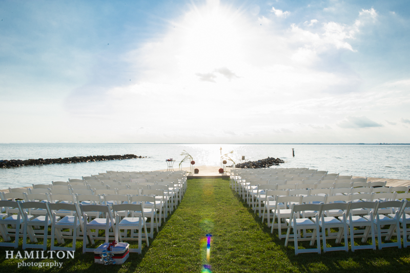 Gallery | silverswan