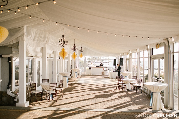 Gallery | silverswan