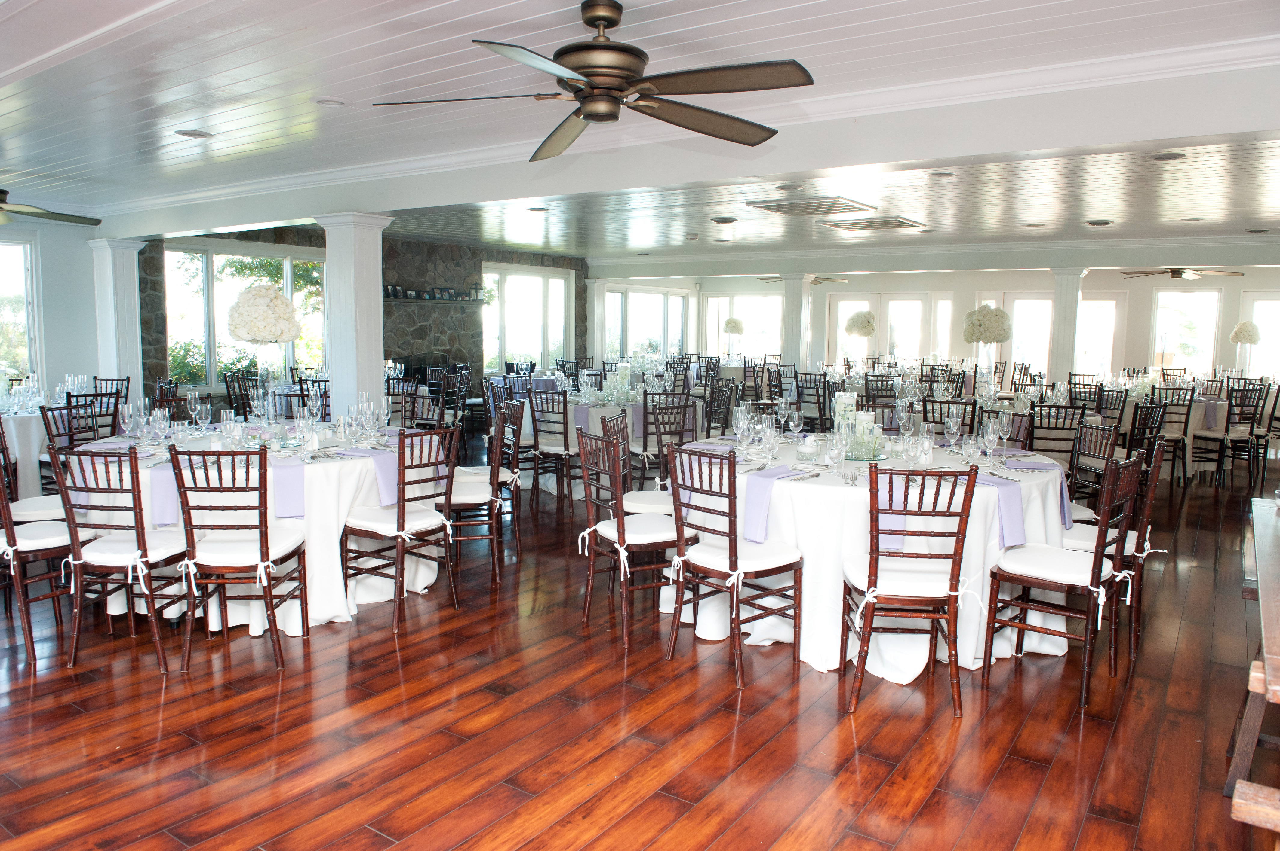 Gallery | silverswan