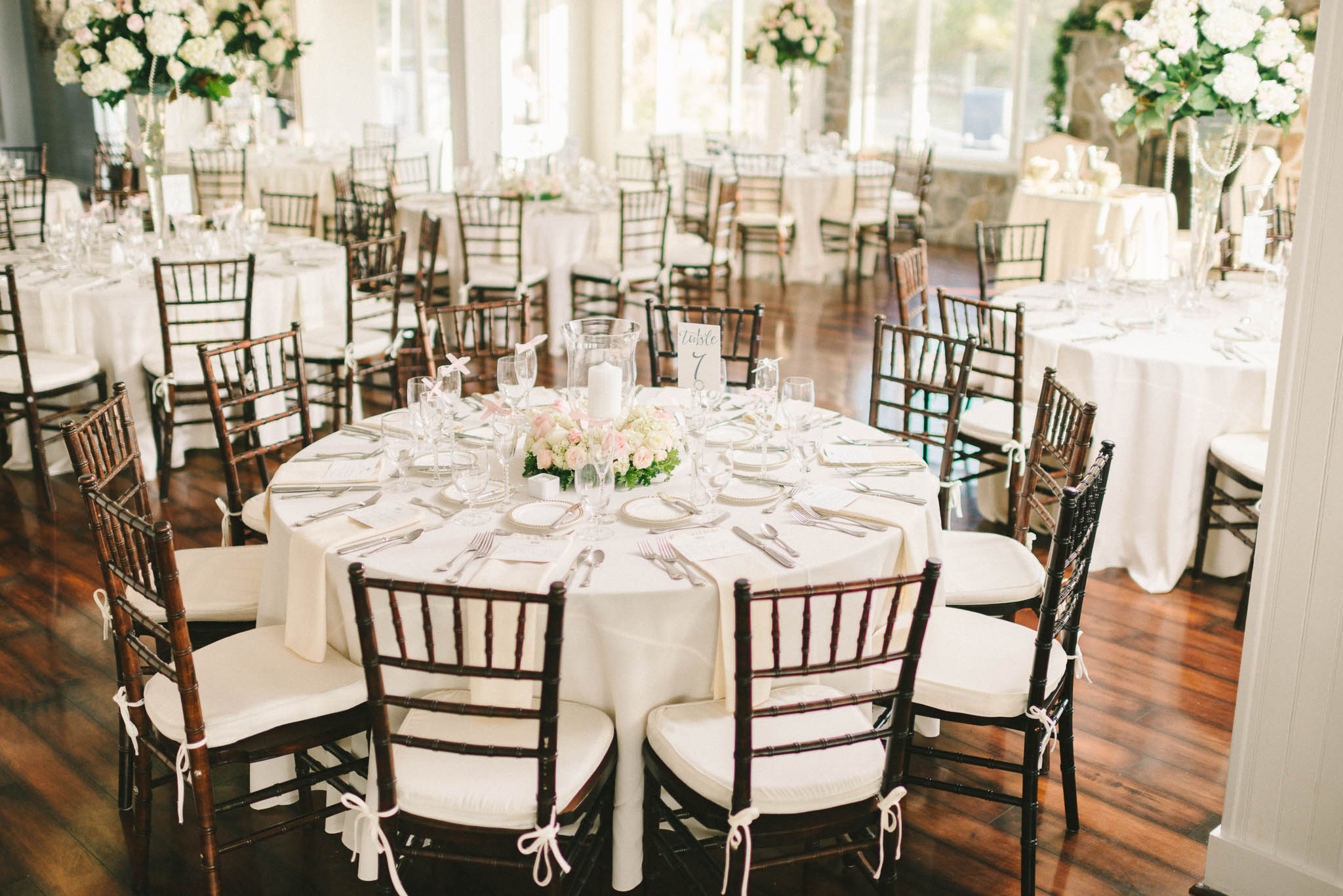 Gallery | silverswan