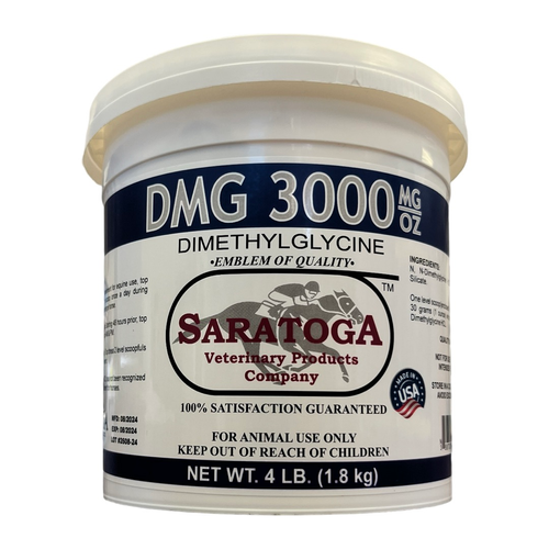 DMG 3000 - Dimethylglycine | Saratogaproduct
