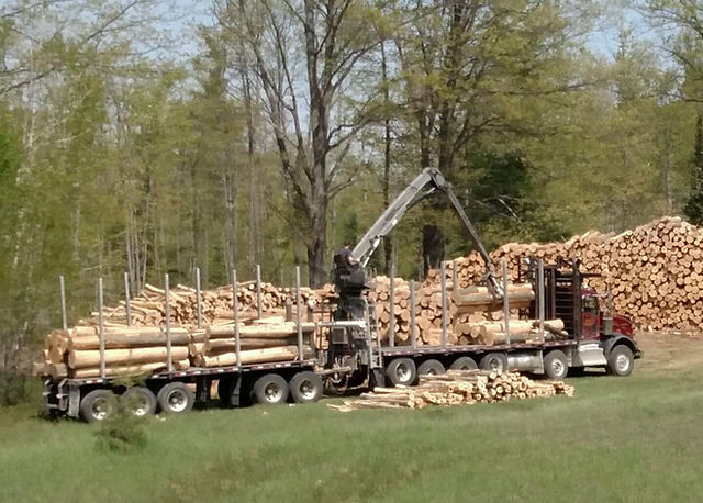 how do logging trucks work