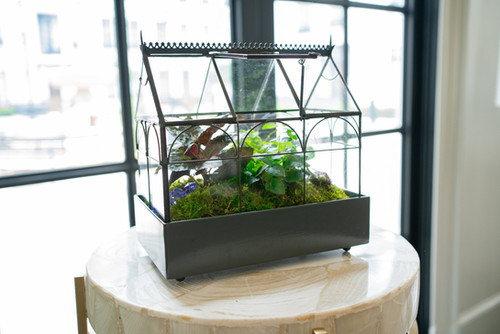 Enchanted Oasis Terrarium | Terry Furuta Designs