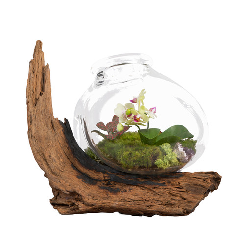 Orchid in Driftwood Terrarium Hand-blown by Matt Janke | Terry Furuta ...