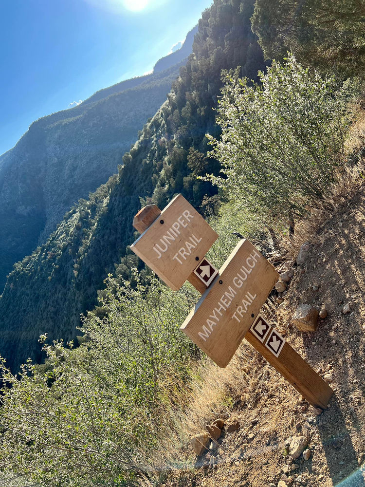 Centennial Cone Park : Mayhem Gulch & Juniper Loop Trail