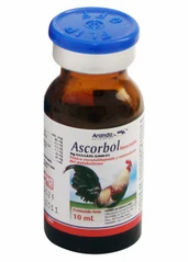 ASCORBOL 10ML | Corporacion Plus S.A