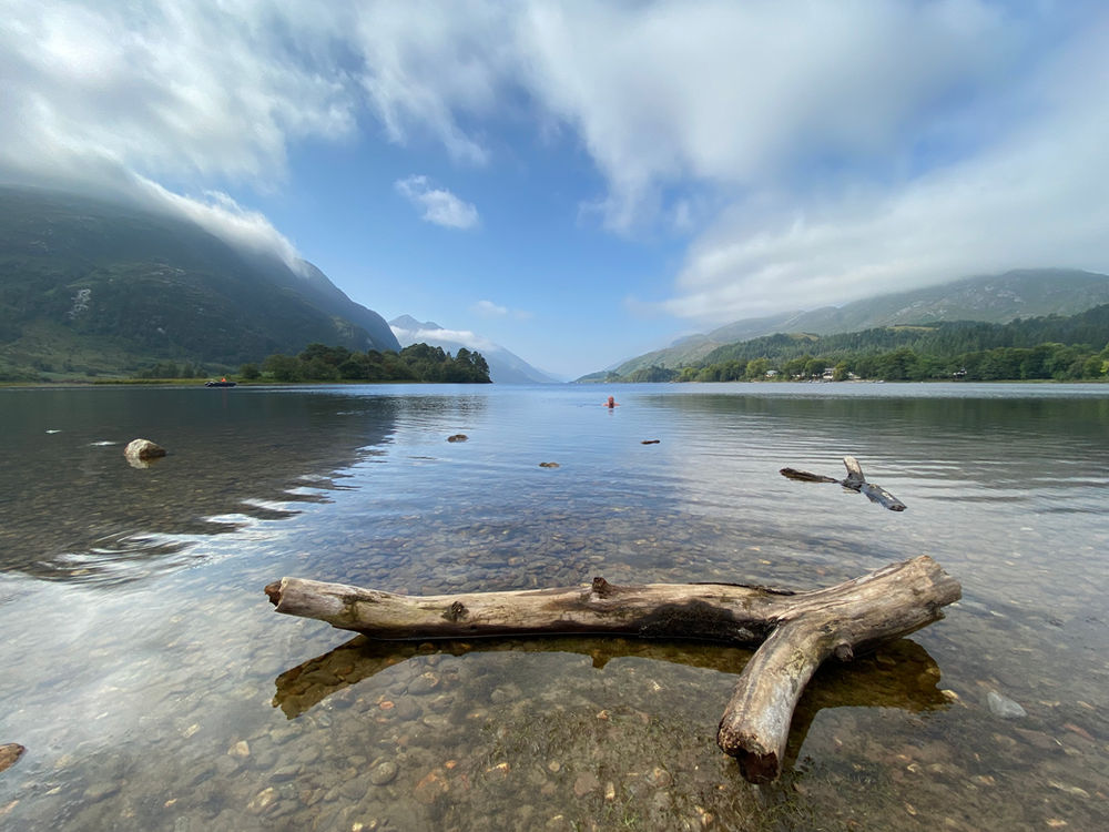 The Harry Potter Swim