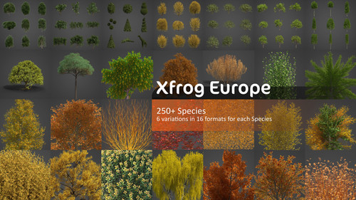 XFROG EUROPE | Xfrog