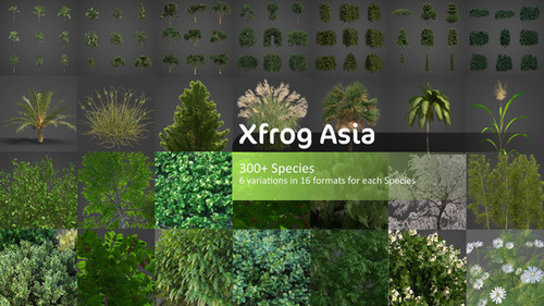 XFROG ASIA | Xfrog