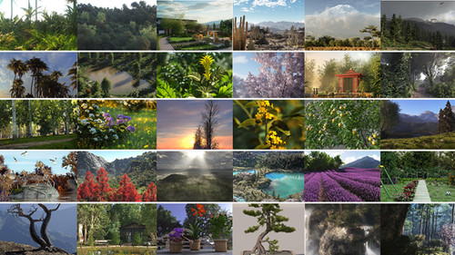 BUNDLE : 3,000 PLANTS | Xfrog