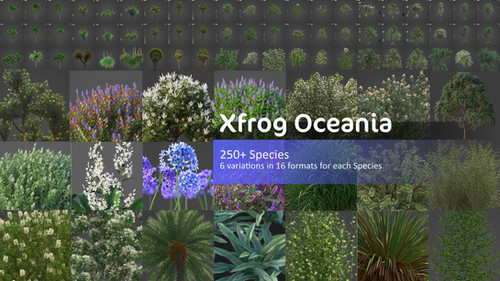 XFROG OCEANIA | Xfrog