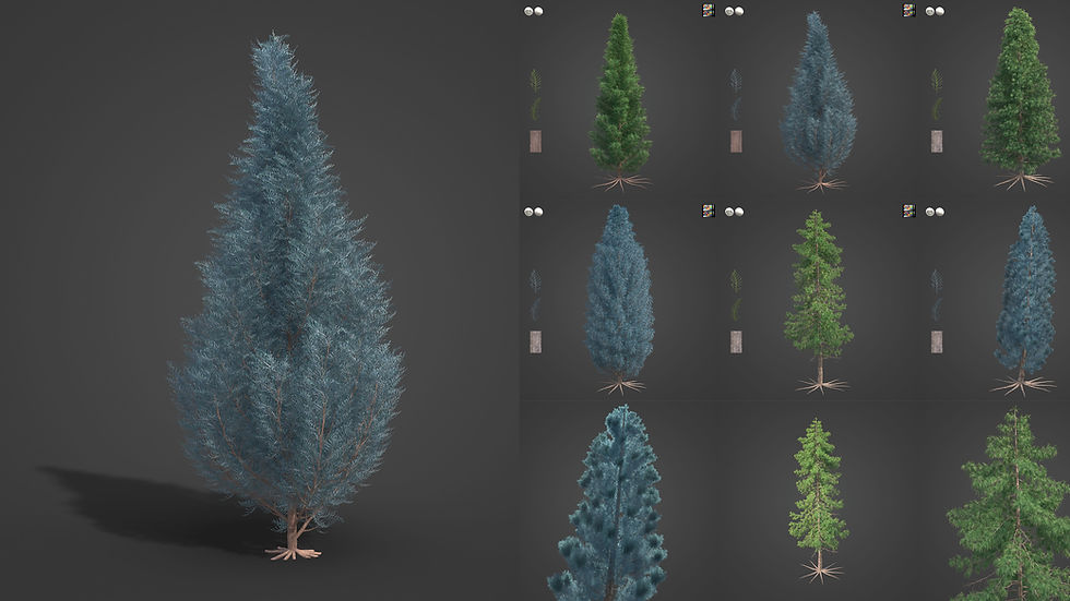 3d Plants | XfrogPlants