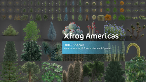 XFROG AMERICAS | Xfrog