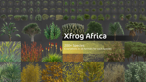 XFROG AFRICA | Xfrog