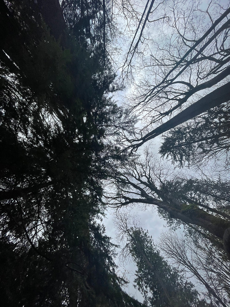 A worm's eye view 3