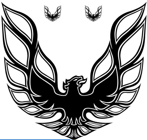 Pontiac Trans-Am Eagle Kit Vinyl Decal Sticker | ANYStickerUWant.com