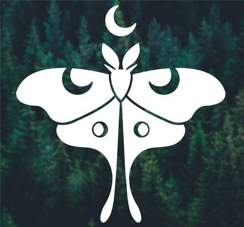 Beautiful Luna Moth Decal Sticker | ANYStickerUWant.com