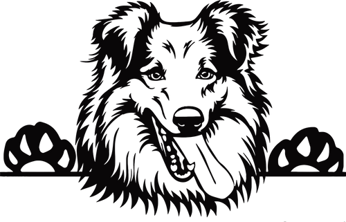 Adorable Peeking Shetland Sheepdog Decal Sticker 6 (add text ...